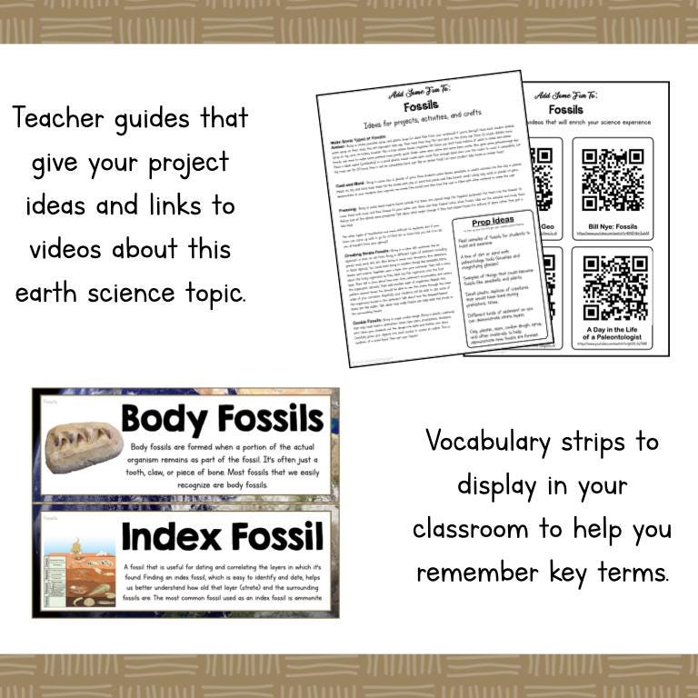 Fossils Science Unit Study PDF Paleontology Curriculum Worksheets ...