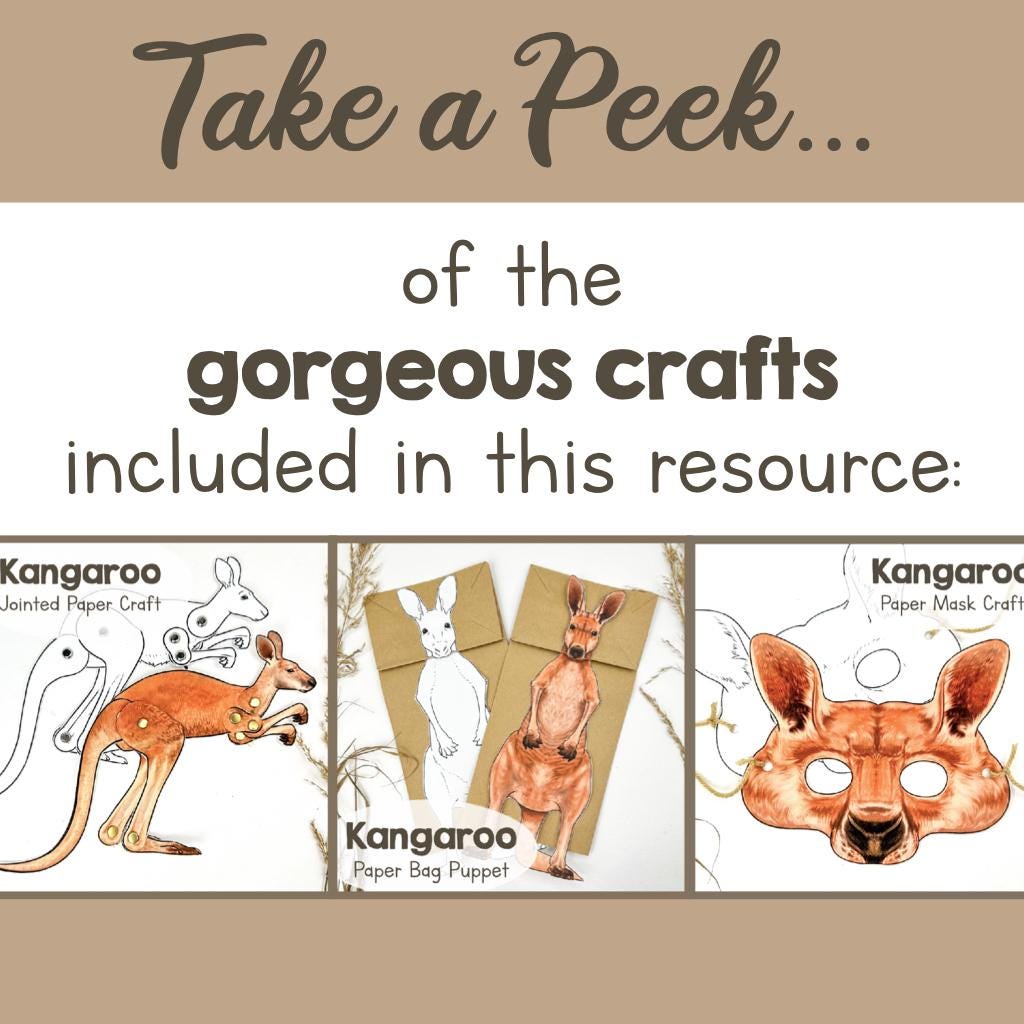 All About Kangaroos- Animal Science Unit - Etsy