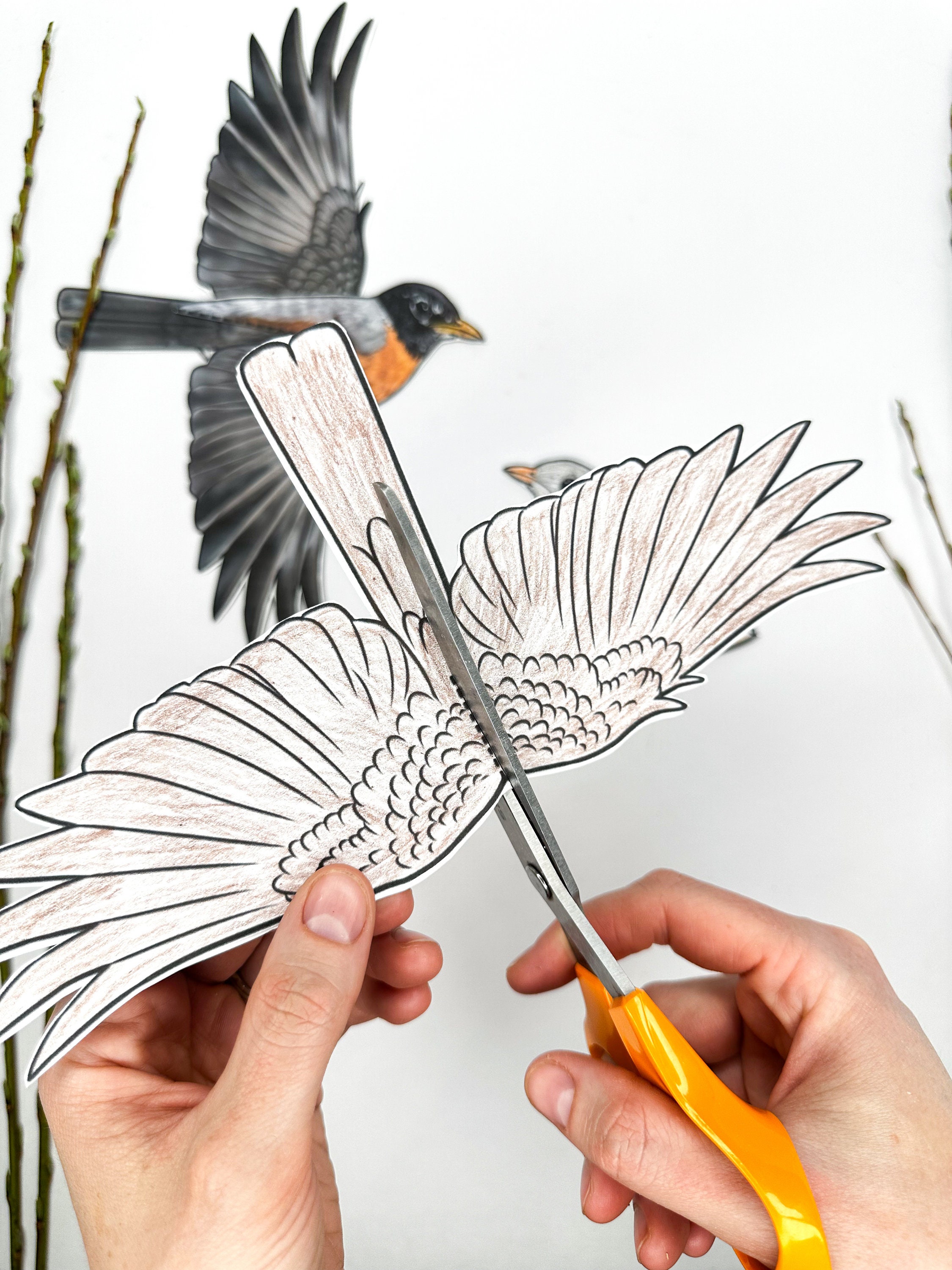 Robin 3D Paper Craft Kit | Hanging Bird Template | Nature Enthusiasts ...