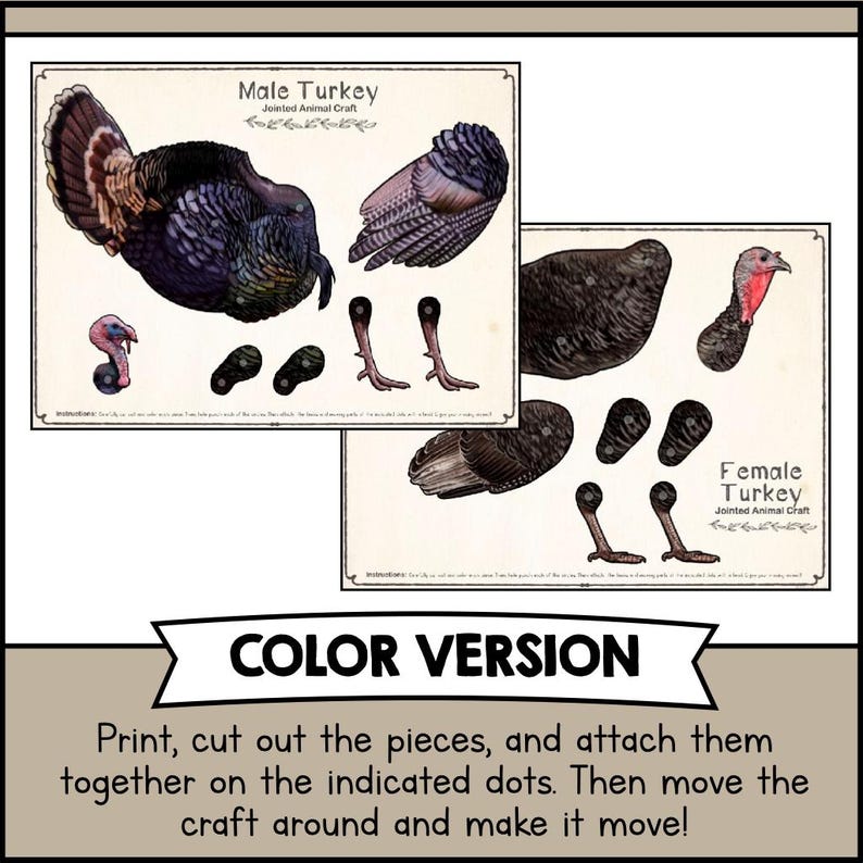 Articulated TURKEY Paper Puppet Craft Kit | DIY Jointed Animal Template ...