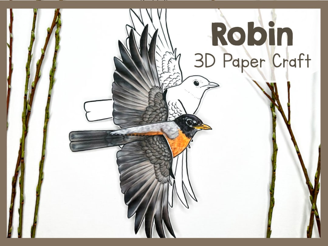 Robin 3D Paper Craft Kit | Hanging Bird Template | Nature Enthusiasts ...