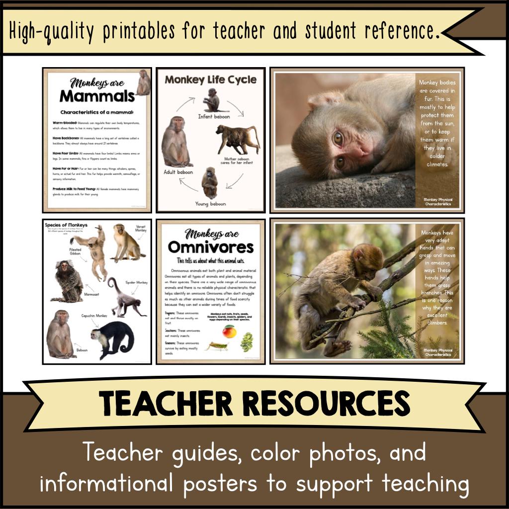 All About Monkeys- Animal Science Unit - Etsy