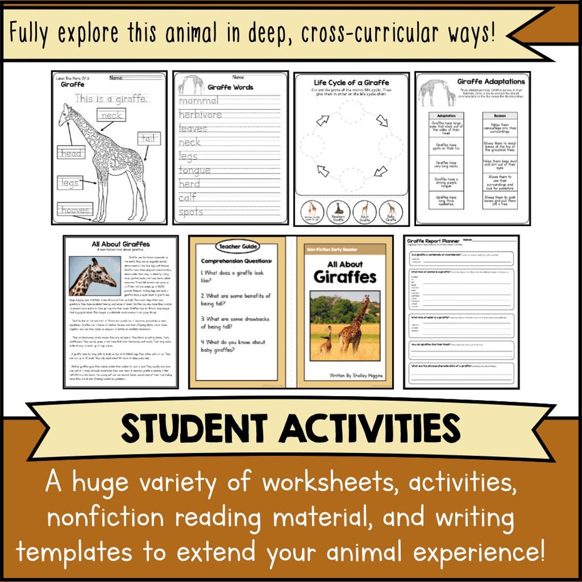 All About GIRAFFES Animal Science Unit PDF | Printable Learning Pack ...