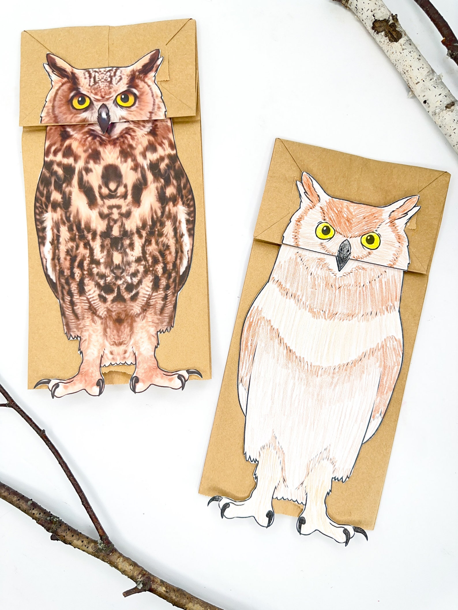 Owl Puppet Printable Template | Fun Paper Bag Craft Activity | Children ...