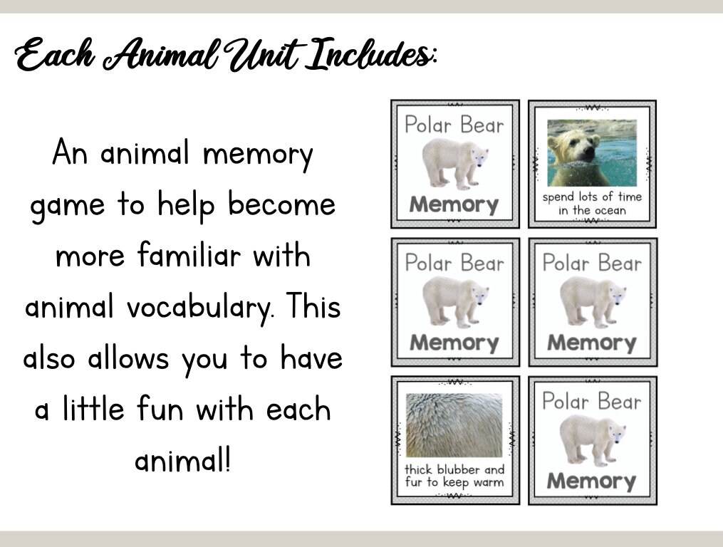 All About Polar Bears- Animal Science Unit - Etsy