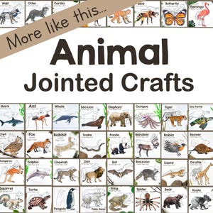 Printable Articulated SNAKE Puppet | DIY Jointed Animal Craft Template ...