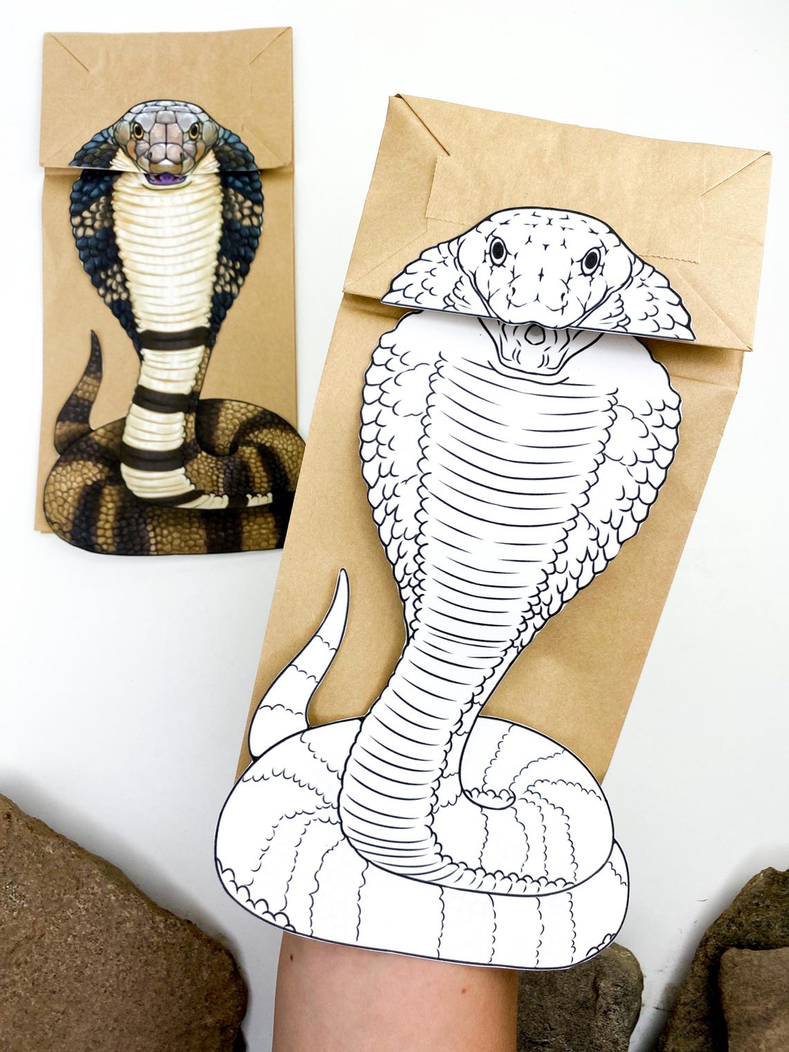 Printable SNAKE Paper Bag Puppet Craft Kit | DIY Reptile Craft PDF ...