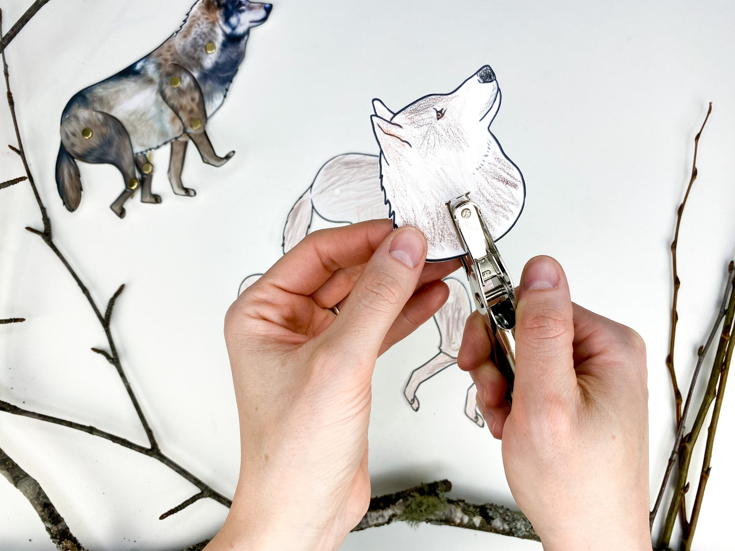 Wolf Jointed Animal Craft | Easy Assembly Articulated Wolf | Nature ...