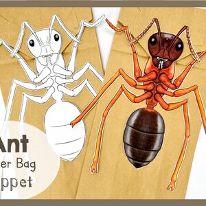 Ant Puppet - Etsy