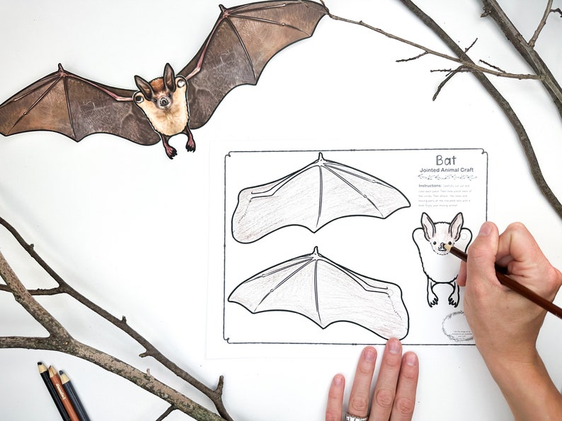 Printable Jointed BAT Puppet Craft Template Kit | DIY Articulated ...