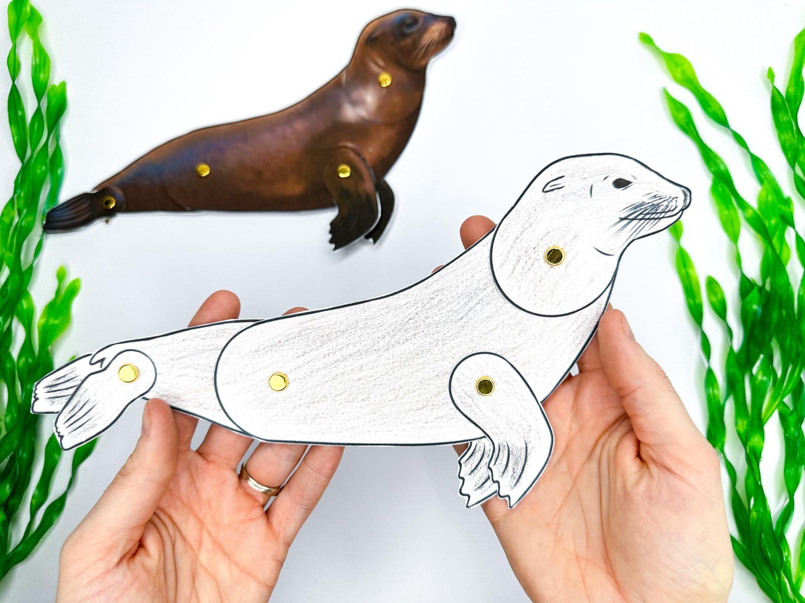Printable Jointed Sea Lion Puppet Craft | Articulated Animal Template ...