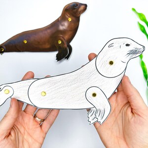 Printable JOINTED Sea Lion Puppet Craft Template | DIY Articulated ...