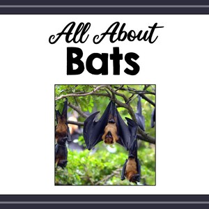 All About Bats- Animal Science Unit - Etsy