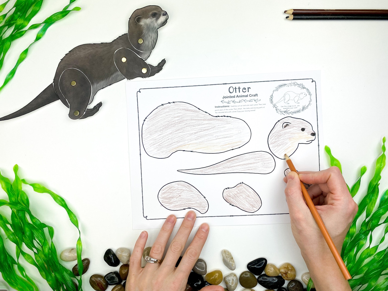Printable Otter Craft Template | Articulated Jointed Animal | Woodland ...