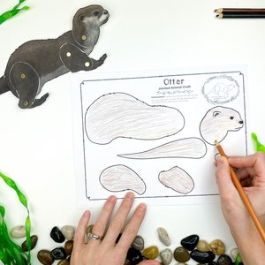 Printable Otter Craft Template | Articulated Jointed Animal | Woodland ...