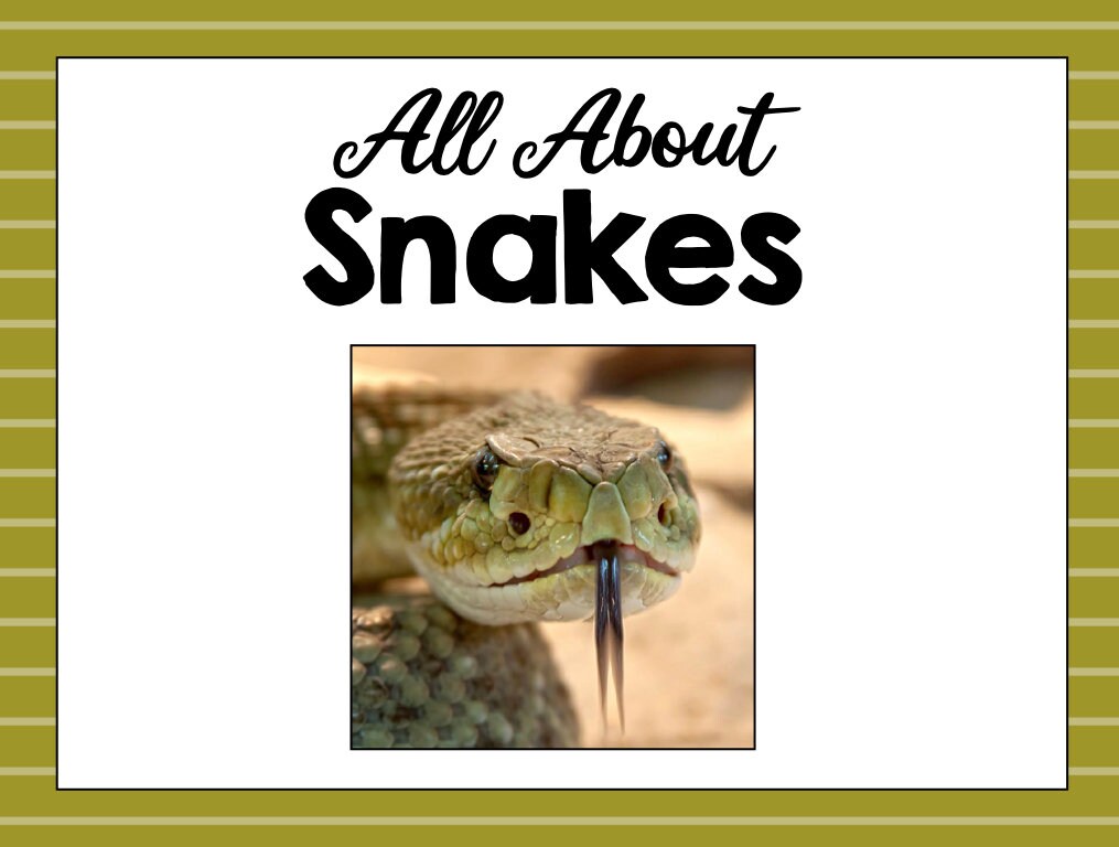 All About Snakes- Animal Science Unit - Etsy