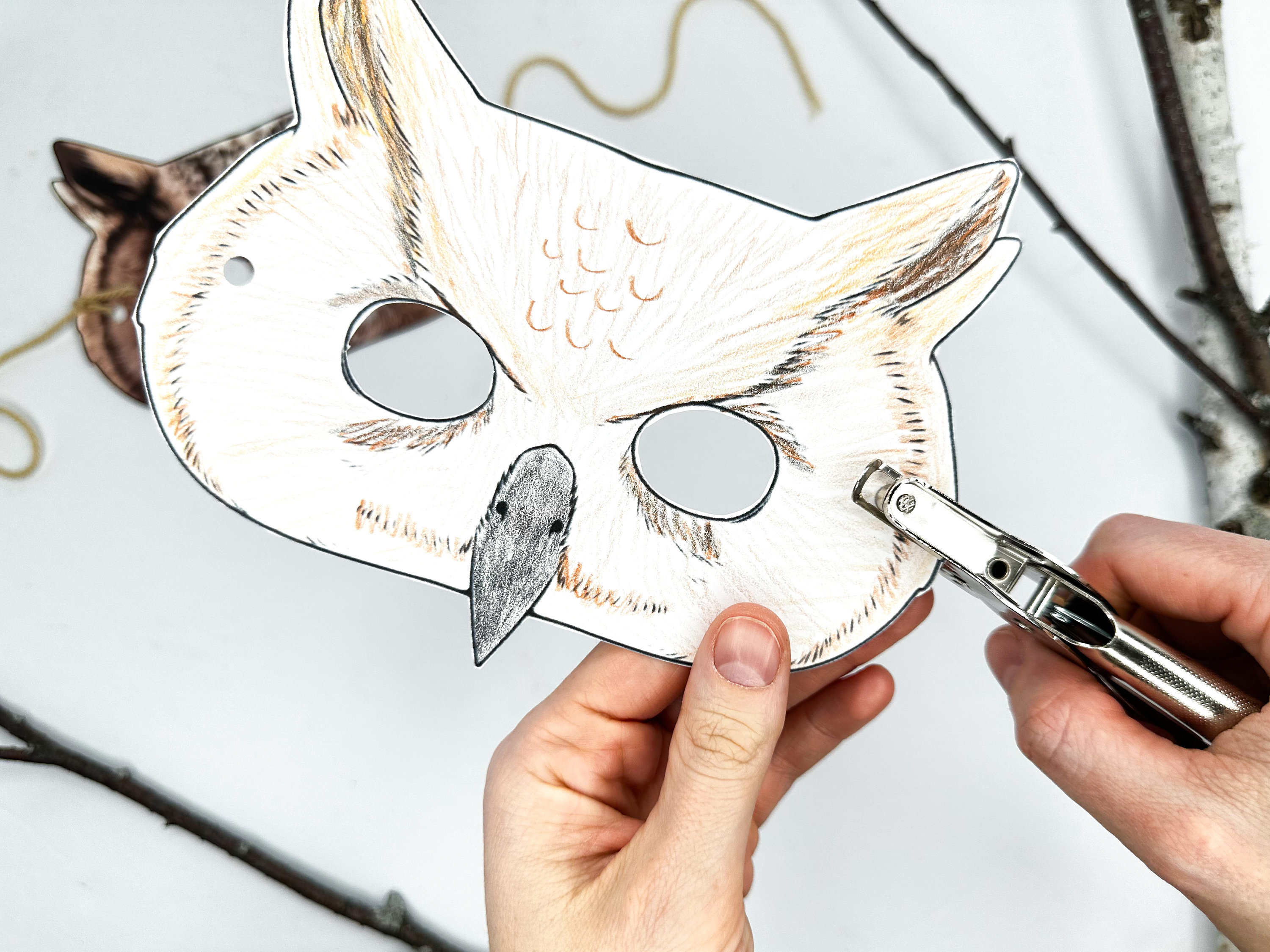 Printable Owl Face Mask Template | Artistic Animal Paper Craft for DIY ...
