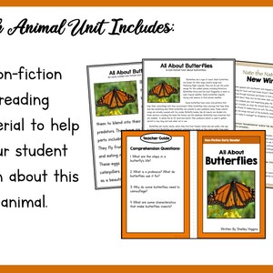 All About Butterflies- Animal Science Unit - Etsy
