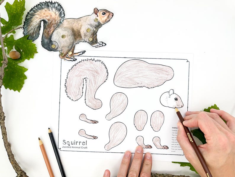 Printable SQUIRREL Puppet Craft Template | DIY Articulated Jointed ...