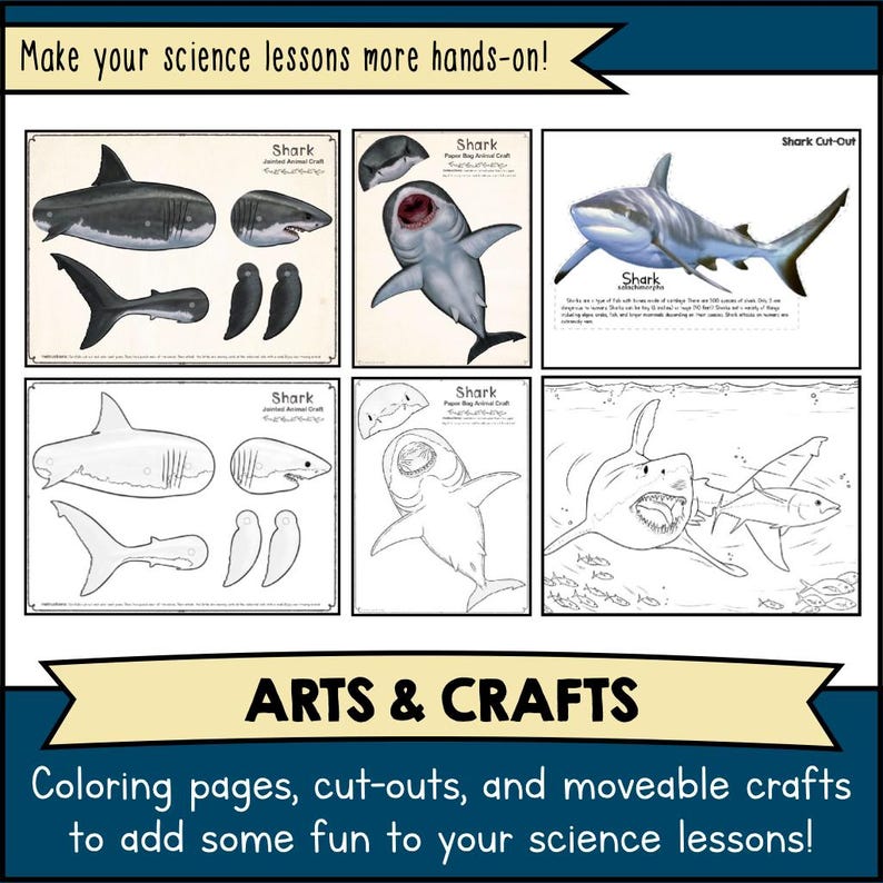 Printable SHARKS Science Unit Template Kit | DIY Articulated Animal PDF ...