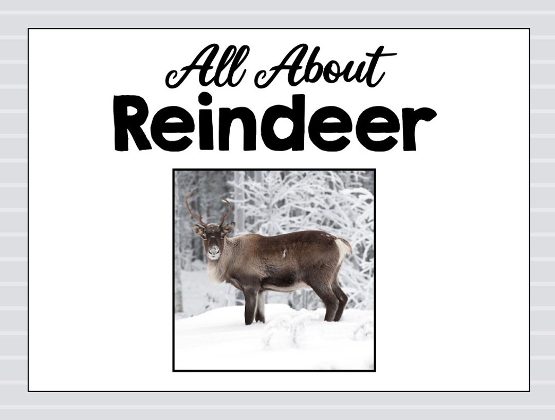 All About Reindeer- Animal Science Unit - Etsy