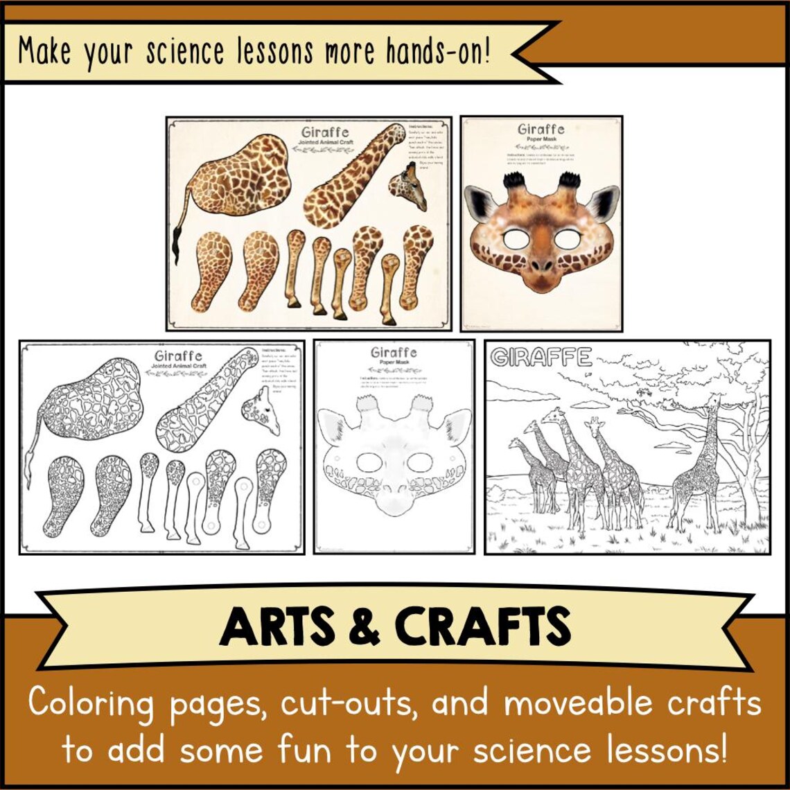 All About GIRAFFES Animal Science Unit PDF | Printable Learning Pack ...