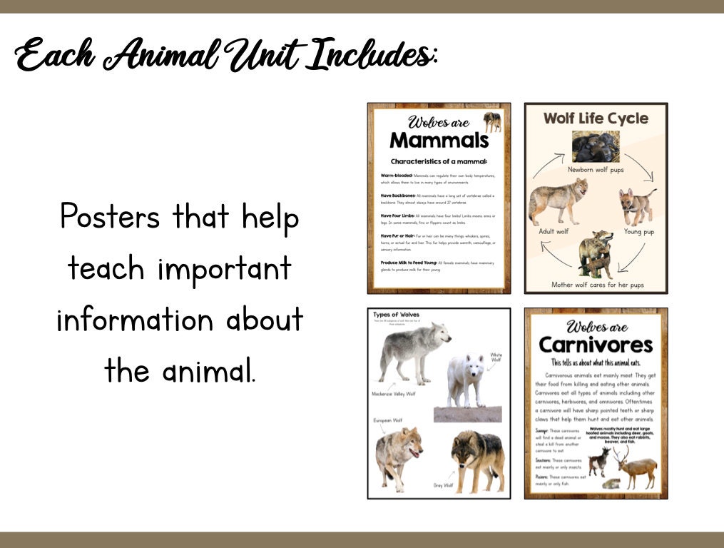 All About Wolves- Animal Science Unit - Etsy