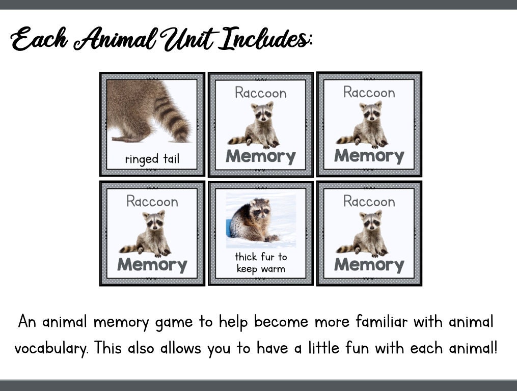 All About Raccoons- Animal Science Unit - Etsy
