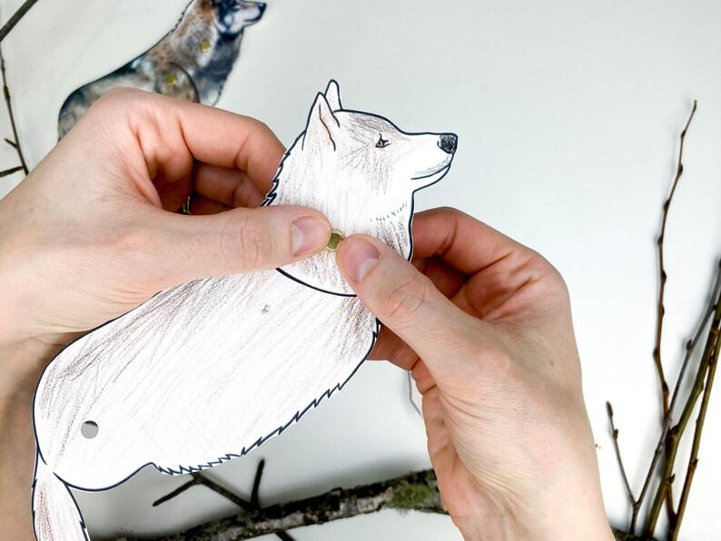 Wolf Jointed Animal Craft | Easy Assembly Articulated Wolf | Nature ...
