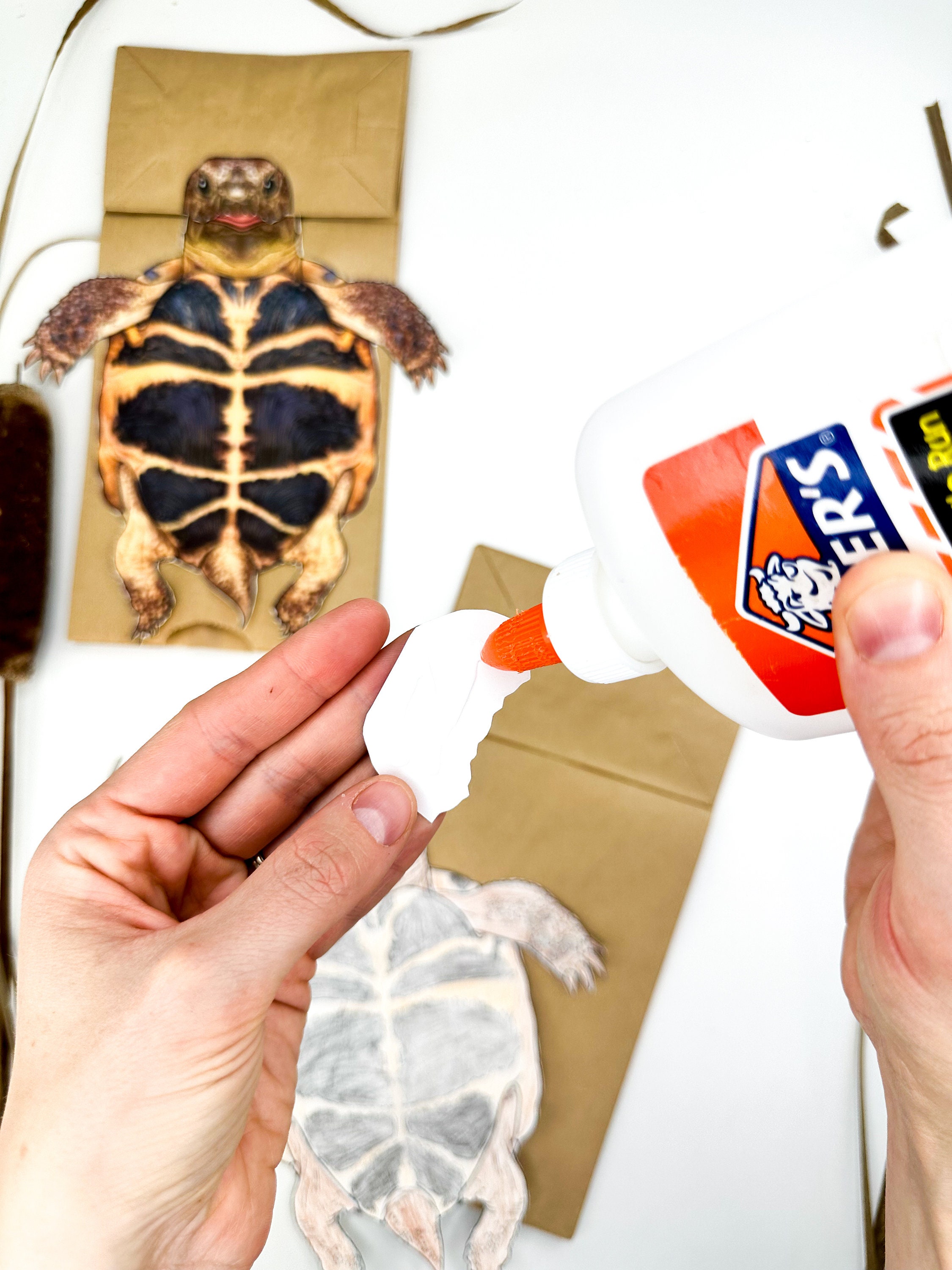 Turtle Paper Bag Puppet Printable Craft Template Turtles - Etsy