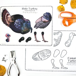 Articulated TURKEY Paper Puppet Craft Kit | DIY Jointed Animal Template ...