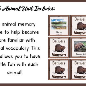 All About Beavers- Animal Science Unit - Etsy