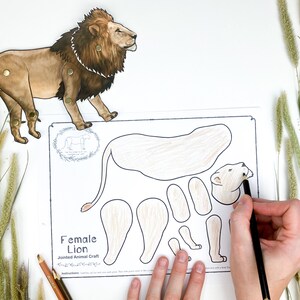 PRINTABLE Lion Puppet Craft Template | DIY Articulated Lion PDF | Kids ...