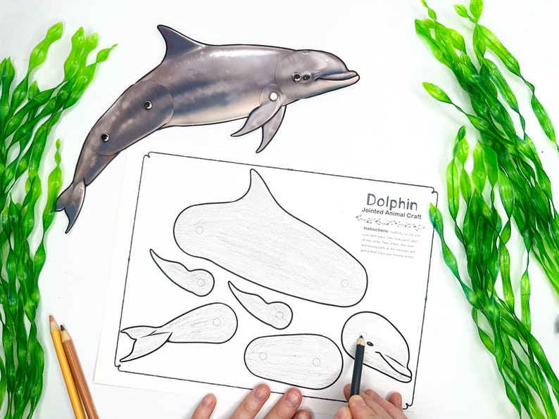 Articulated Dolphin Craft Template | Jointed Printable Movable Marine ...