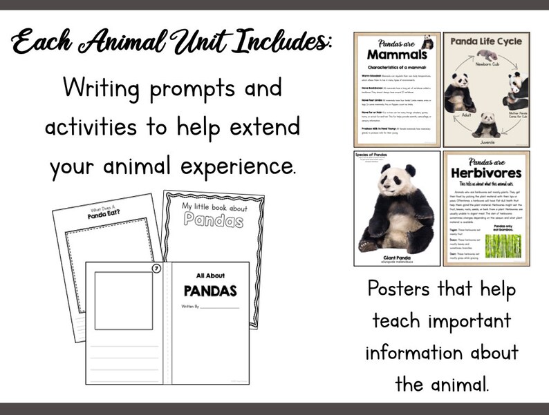 All About Pandas- Animal Science Unit - Etsy