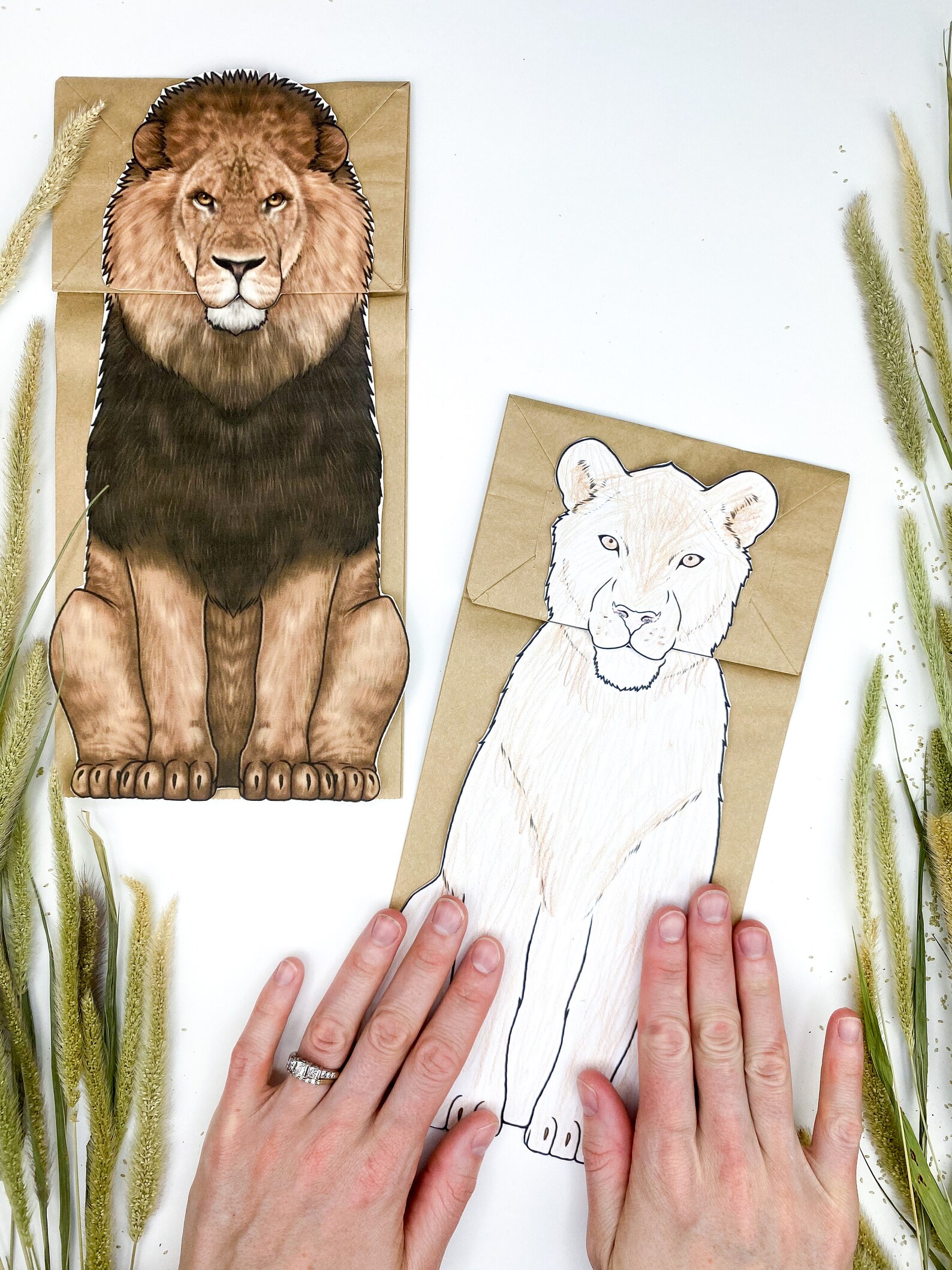 Lion Paper Bag Puppet Craft Template | Safari Animal Puppet for ...