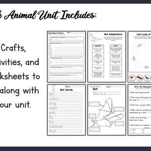 All About Bats Animal Science Unit - Etsy