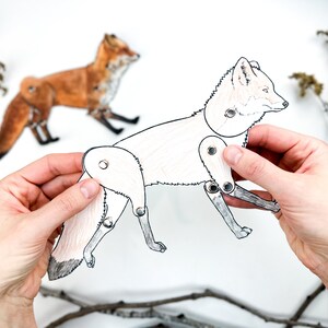 Printable ARTICULATED Fox Puppet Craft Template Kit | DIY Woodland ...