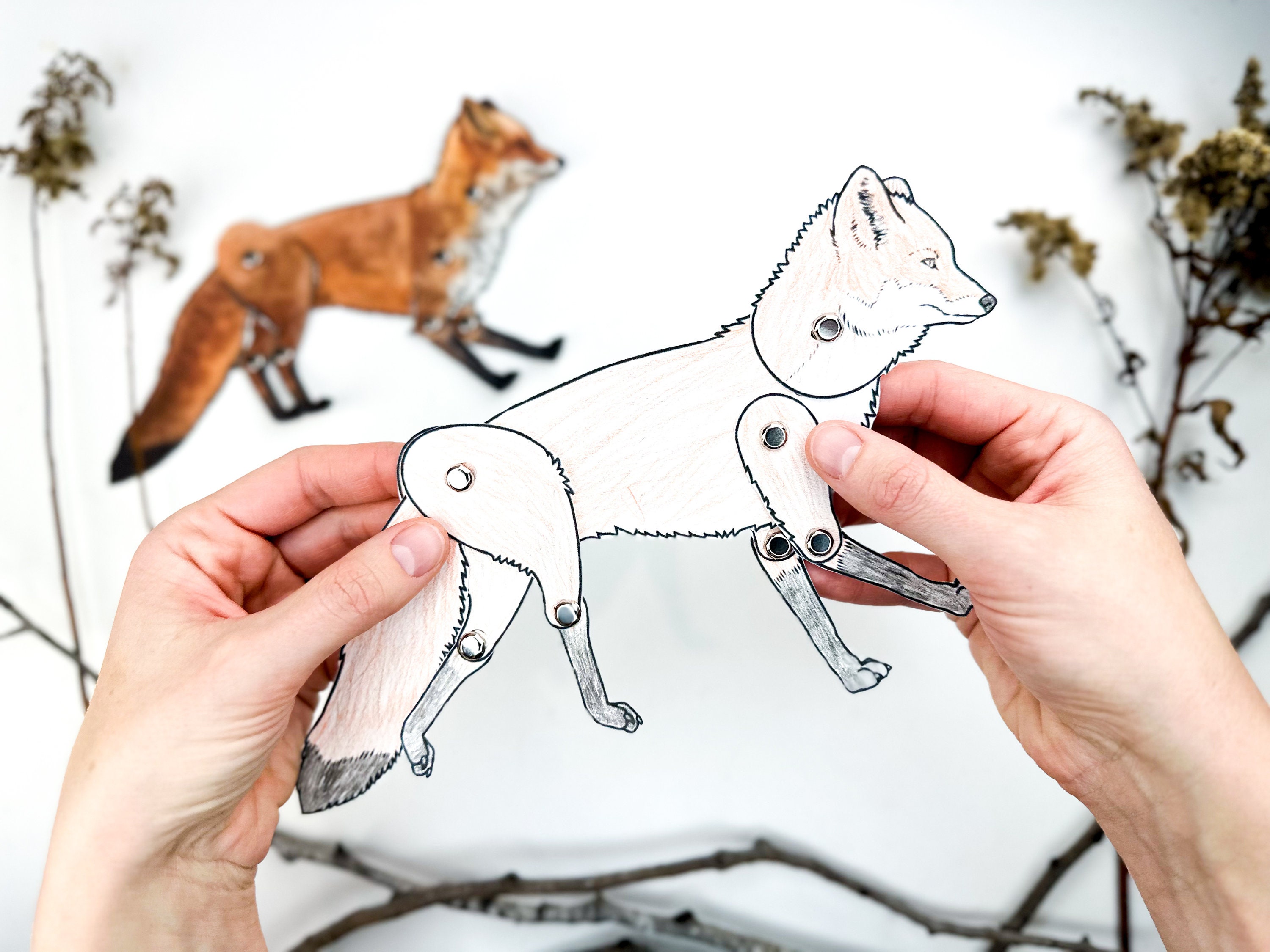 Printable Jointed Fox Puppet Craft | Articulated Animal Template for ...