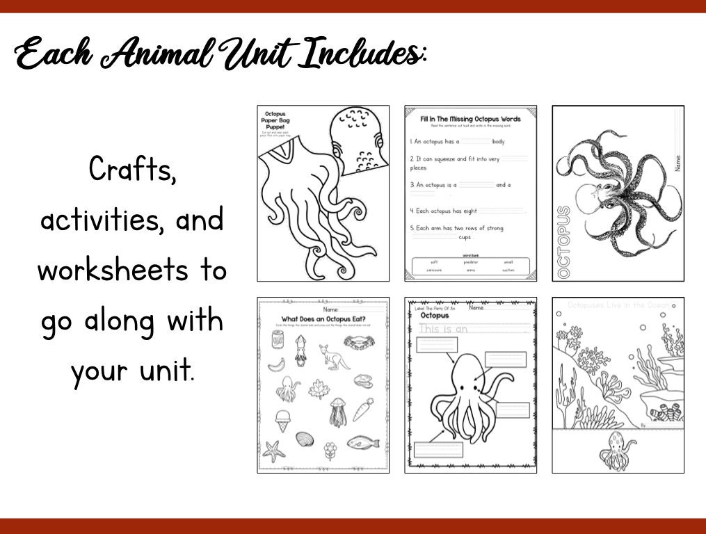 All About Octopus Animal Science Unit - Etsy