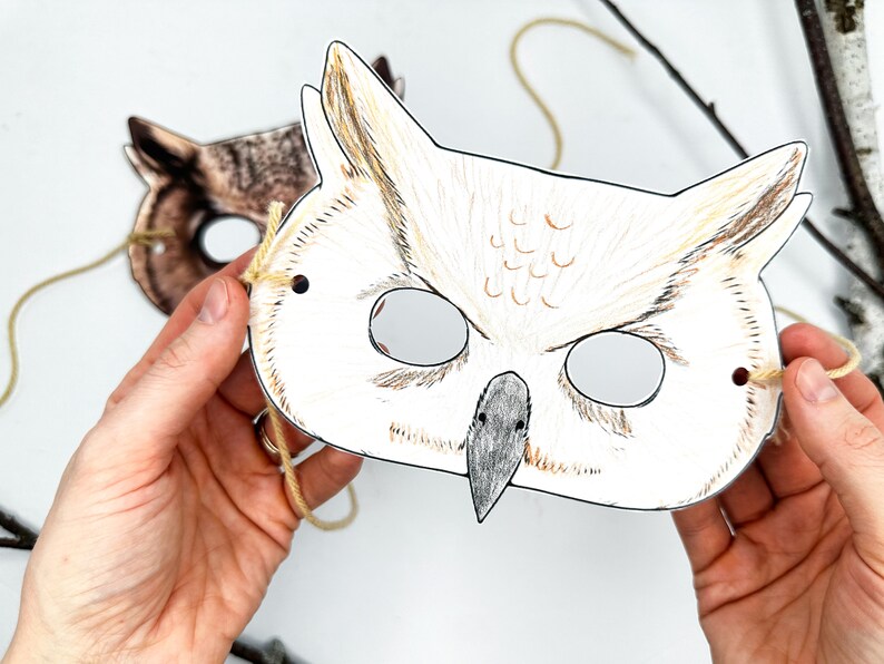 Printable Owl Face Mask Template | Artistic Animal Paper Craft for DIY ...