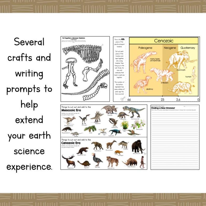 Fossils Science Unit Study PDF Paleontology Curriculum Worksheets ...