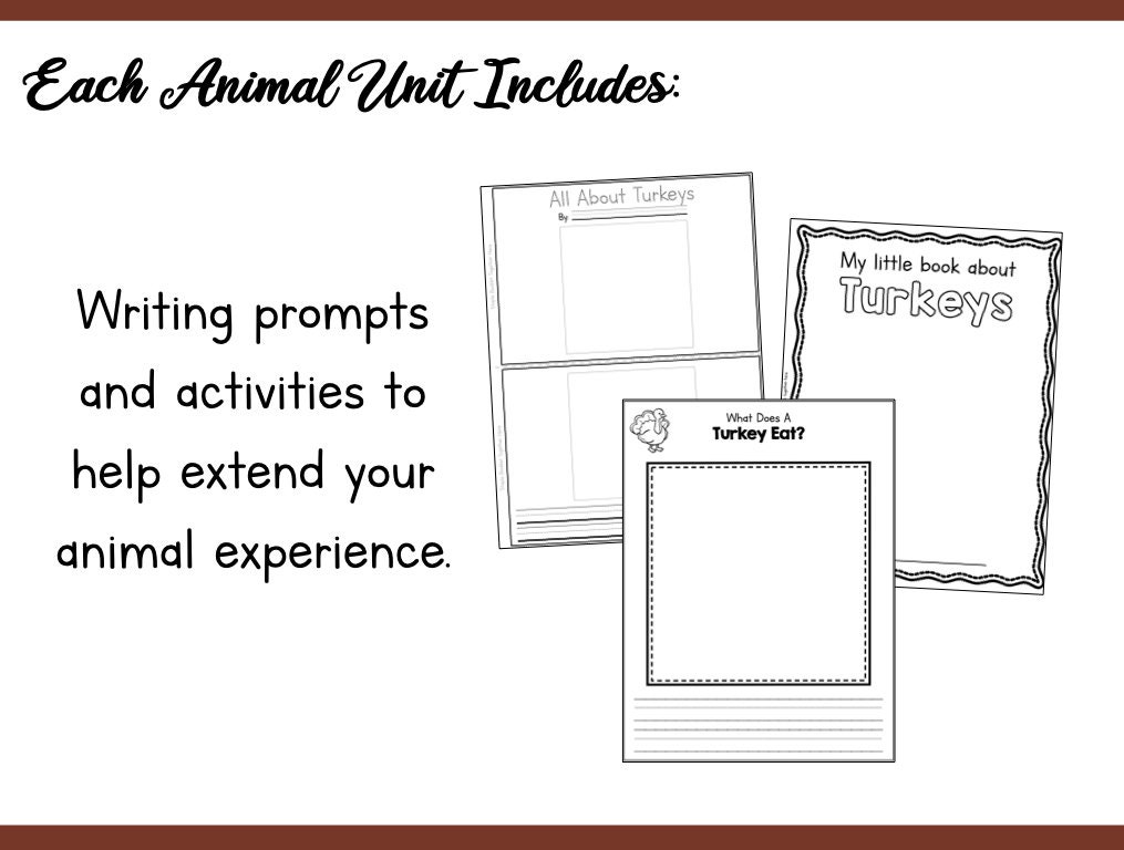 All About Turkeys Animal Science Unit - Etsy
