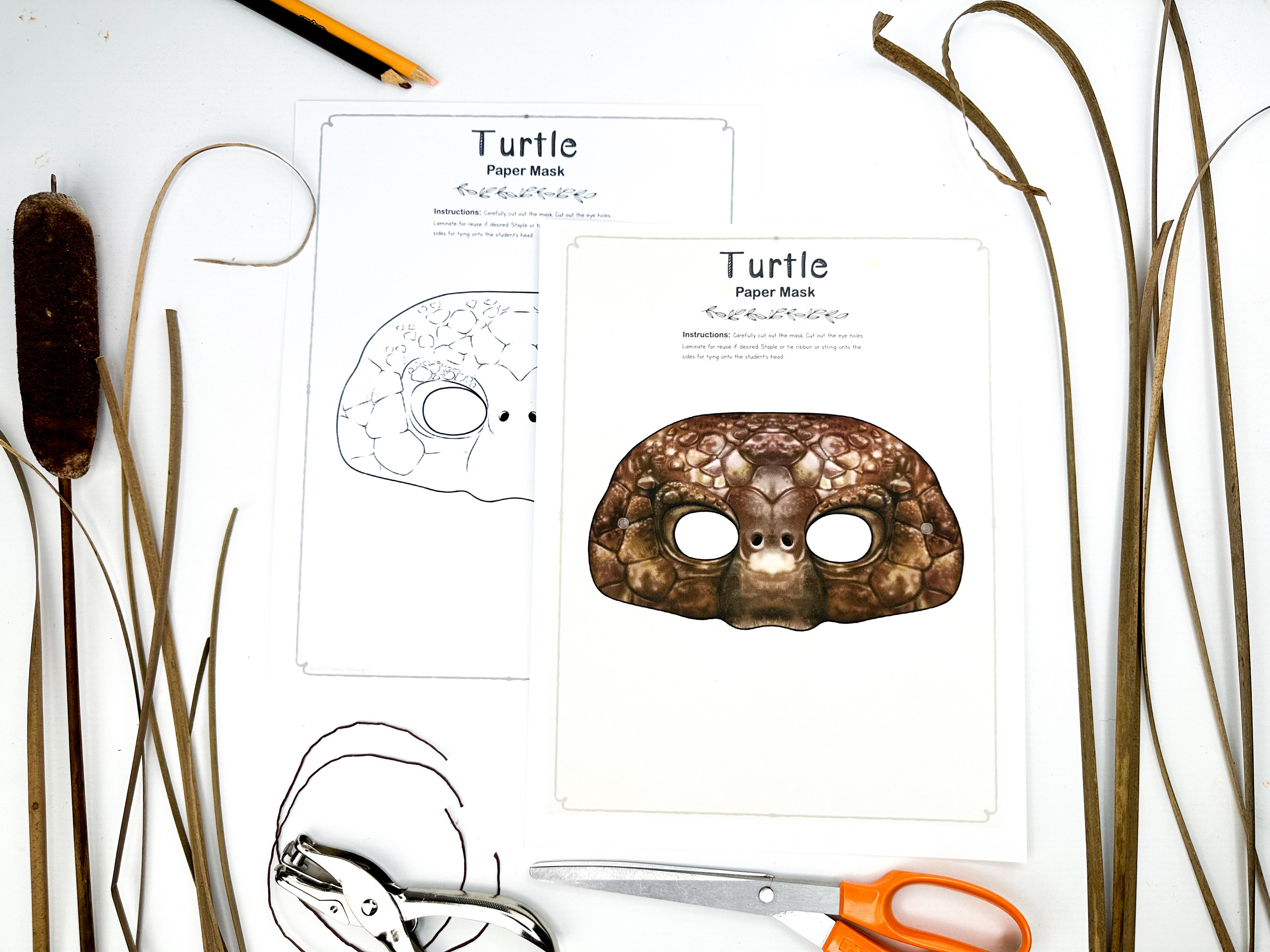Printable Turtle Mask Template | Ocean Animal Masks Template | Instant ...