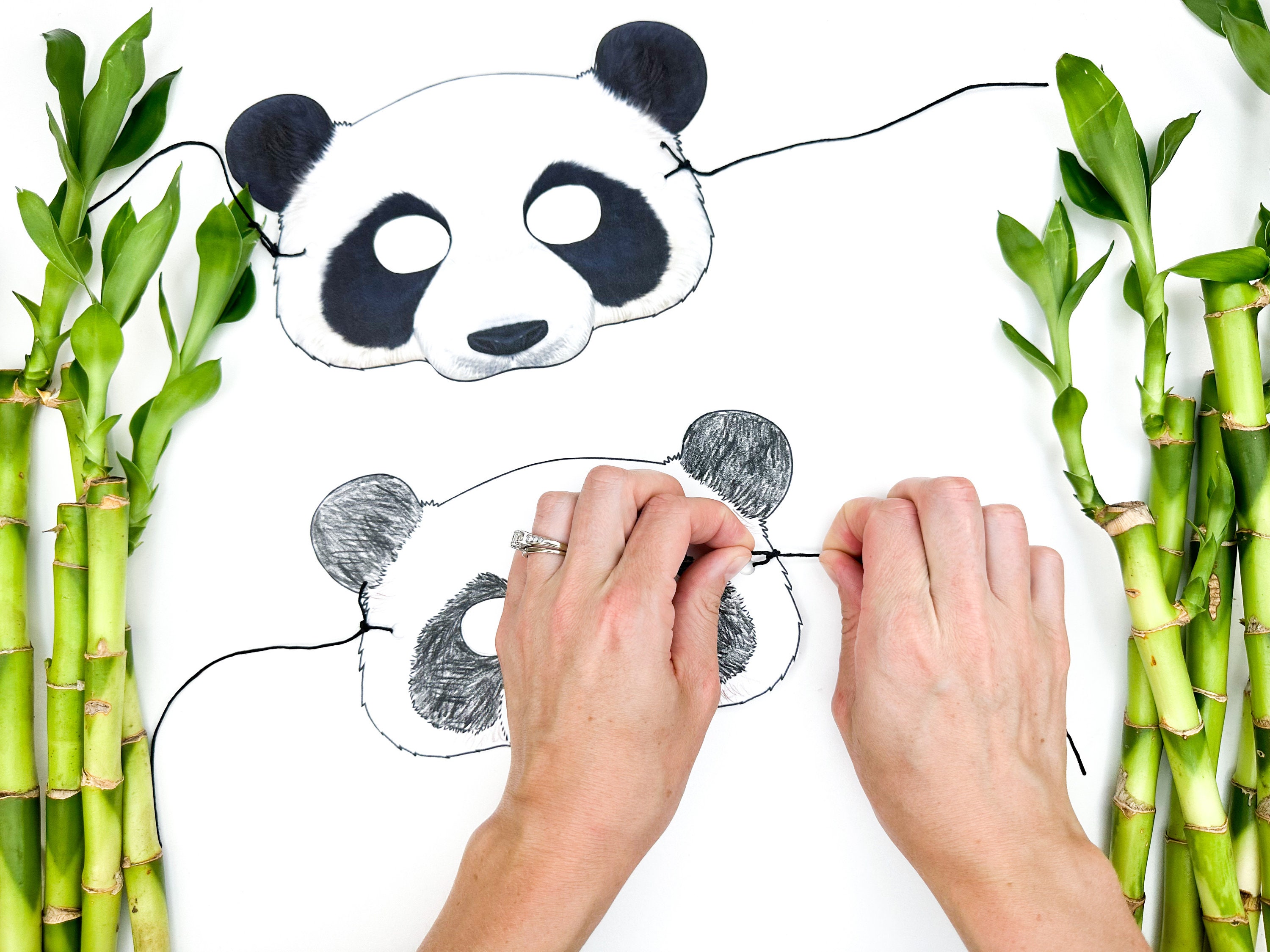 Adorable Panda Animal Mask | Printable Panda Paper Mask Craft Kit for ...