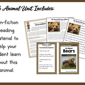 All About Bears- Animal Science Unit - Etsy