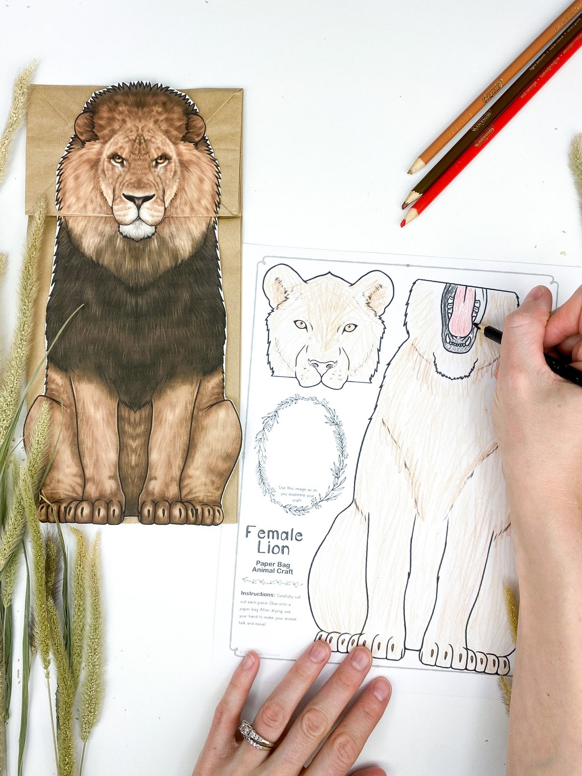 Lion Paper Bag Puppet Craft Template | Safari Animal Puppet for ...