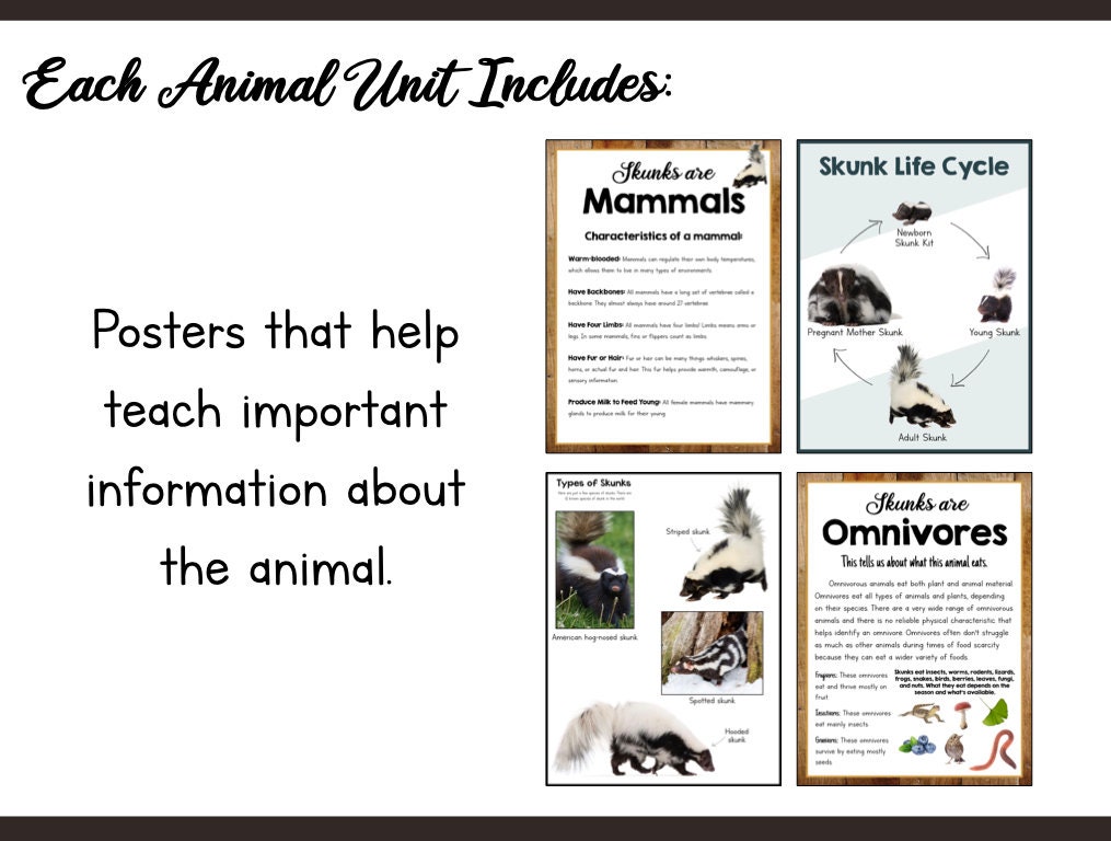 All About Skunks- Animal Science Unit - Etsy