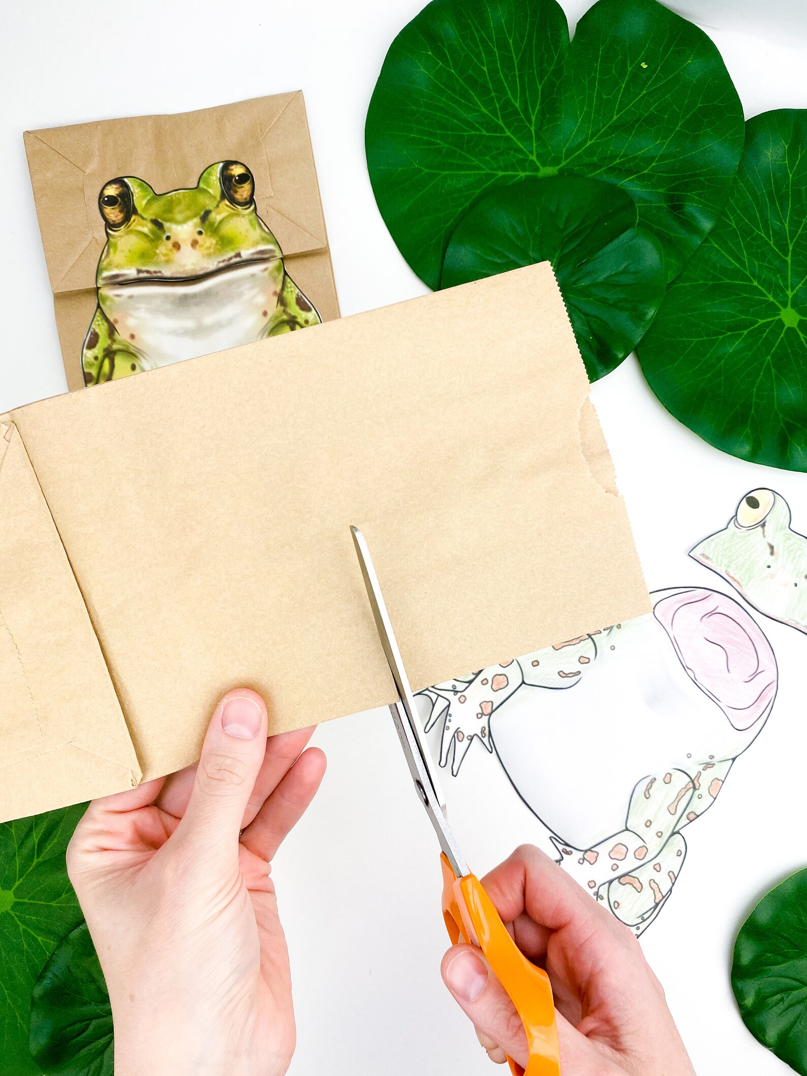 Frog Paper Bag Puppet Craft Kit | Eco-friendly Printable Template ...