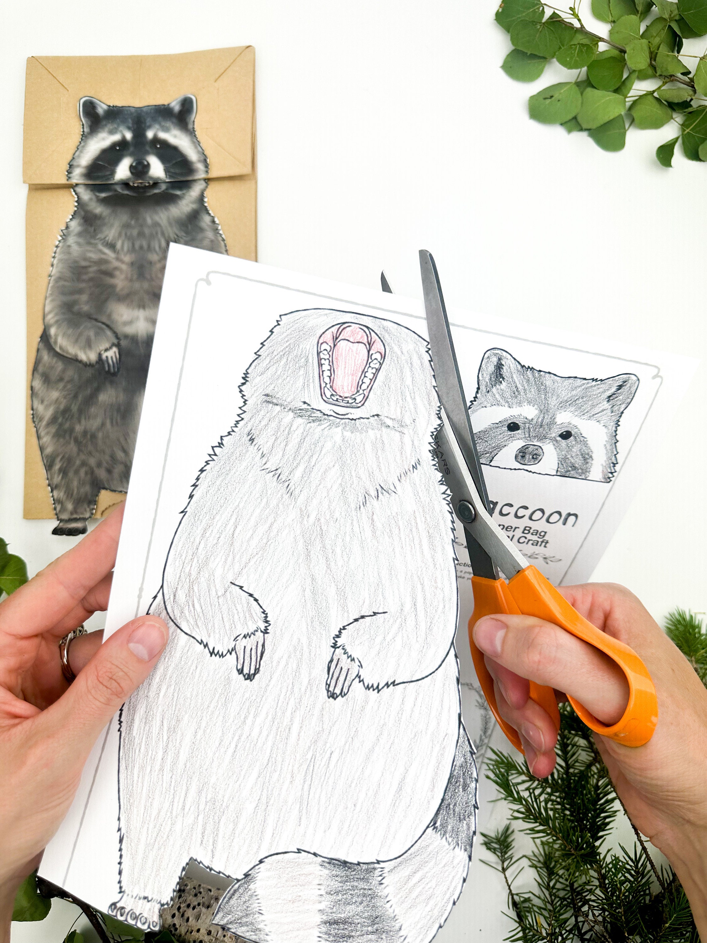 Raccoon Paper Bag Puppet Printable Craft Template - Etsy